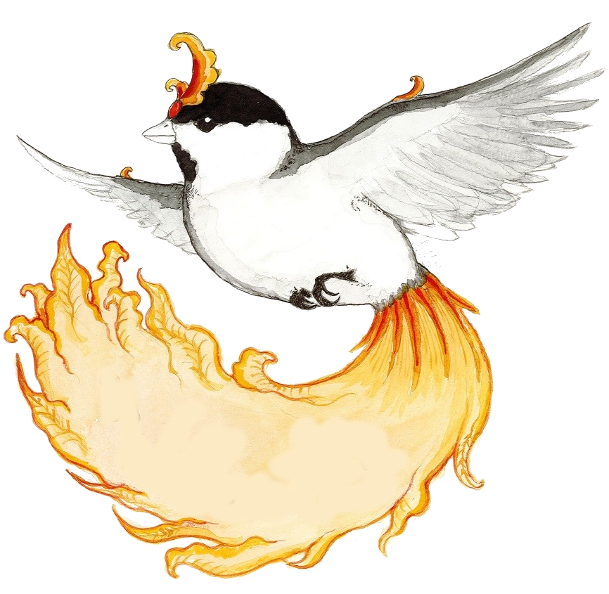 Blogi :: Willow Tit Burlesque